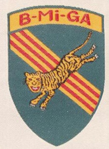 CIDG Insignia - Insignia