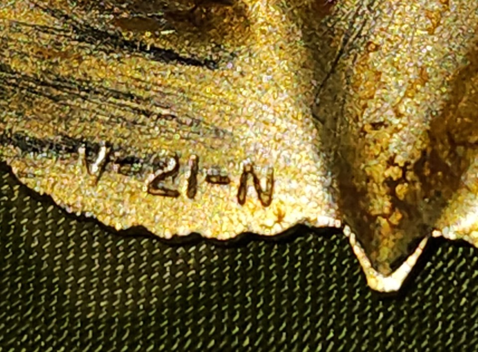 NAVY SEAL CDR Insignia Lot