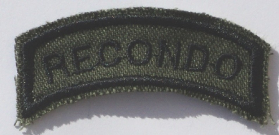 Recondo Tab, Twill, Subd. - Insignia