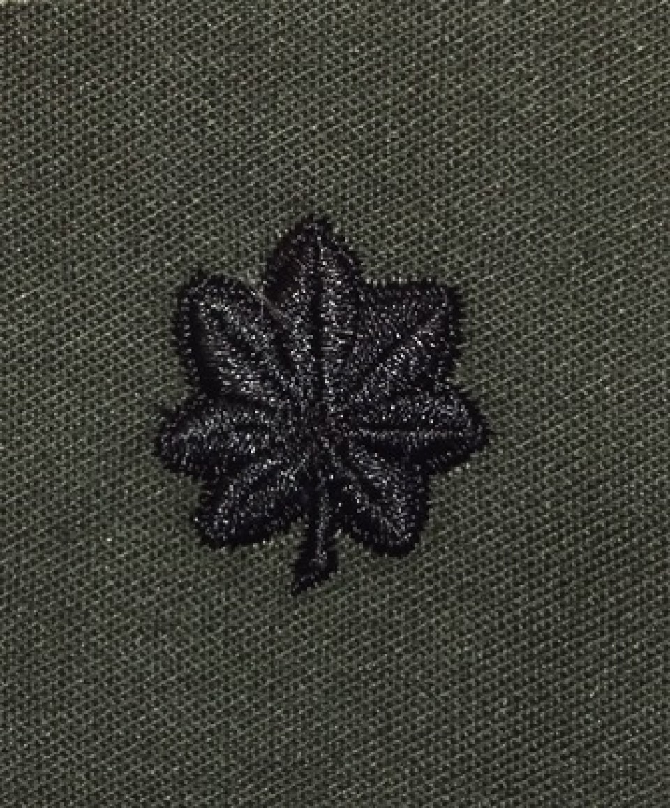 Lt. Colonel, Sew-On Subd. - Officer Sew On Collar Rank Subd - Insignia